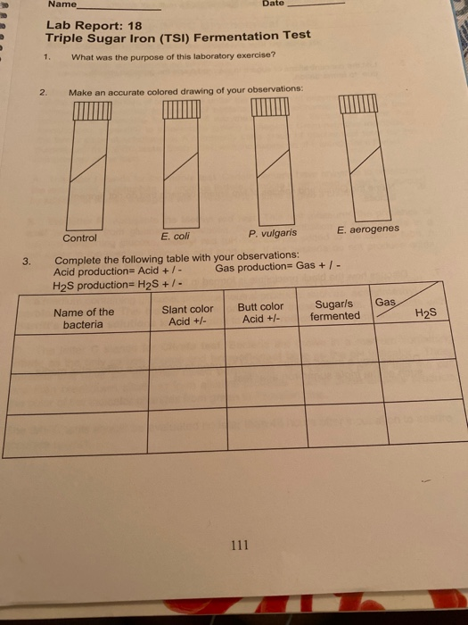 Solved Date Lab Report: 18 Triple Sugar Iron (TSI) | Chegg.com