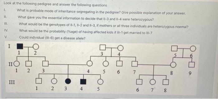 Solved Look at the following pedigree and answer the | Chegg.com