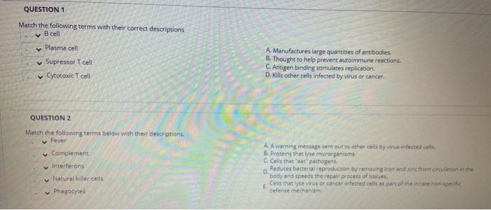 Solved QUESTION 1 Match the following terms with their | Chegg.com