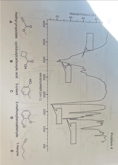 Solved methyl propiolate A A cyclobutylcarboxylic acid B | Chegg.com