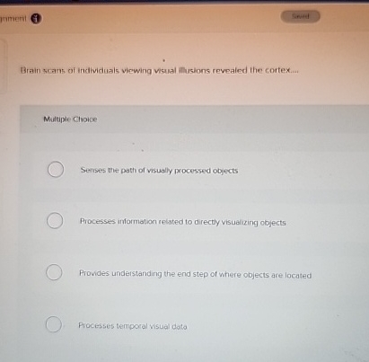 Solved Brain scams of individuals viewing visual ithusions | Chegg.com