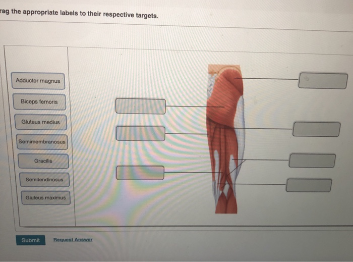 Solved Part A Drag the appropriate labels to their | Chegg.com
