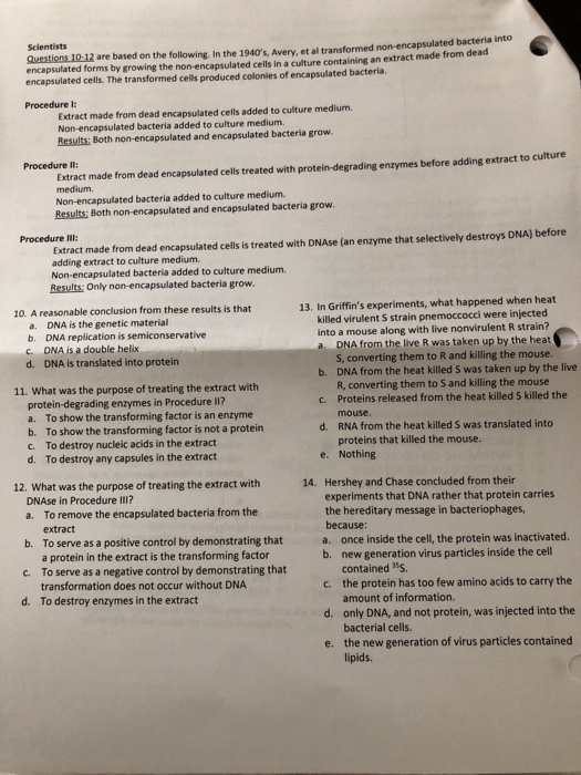 AP Biology Test on DNA Structure, DNA Function, | Chegg.com