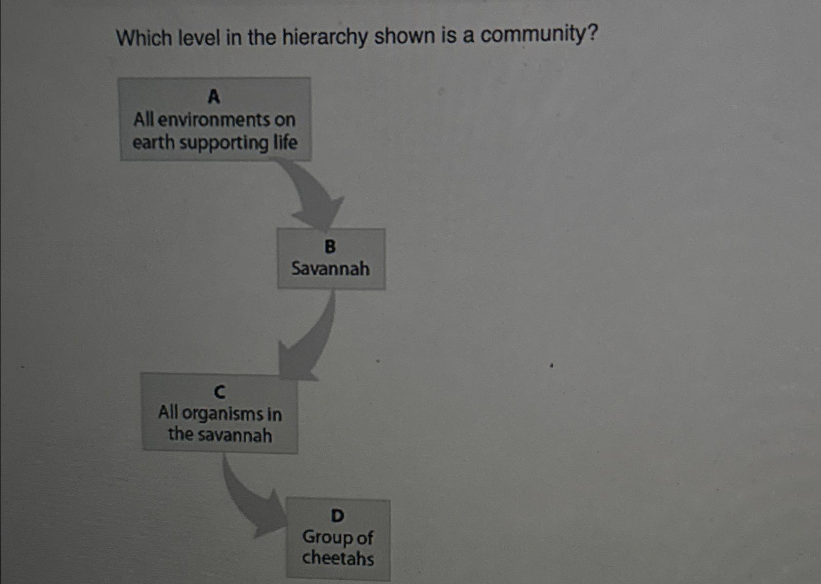 Solved Which level in the hierarchy shown is a community? | Chegg.com