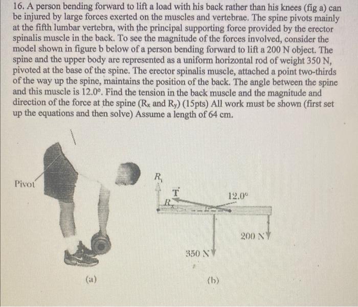 Solved 16. A person bending forward to lift a load with his | Chegg.com