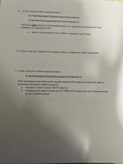 Solved 10. (2 pts) Using your answer from question above, | Chegg.com