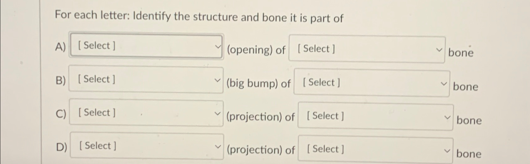 Solved For each letter: Identify the structure and bone it | Chegg.com