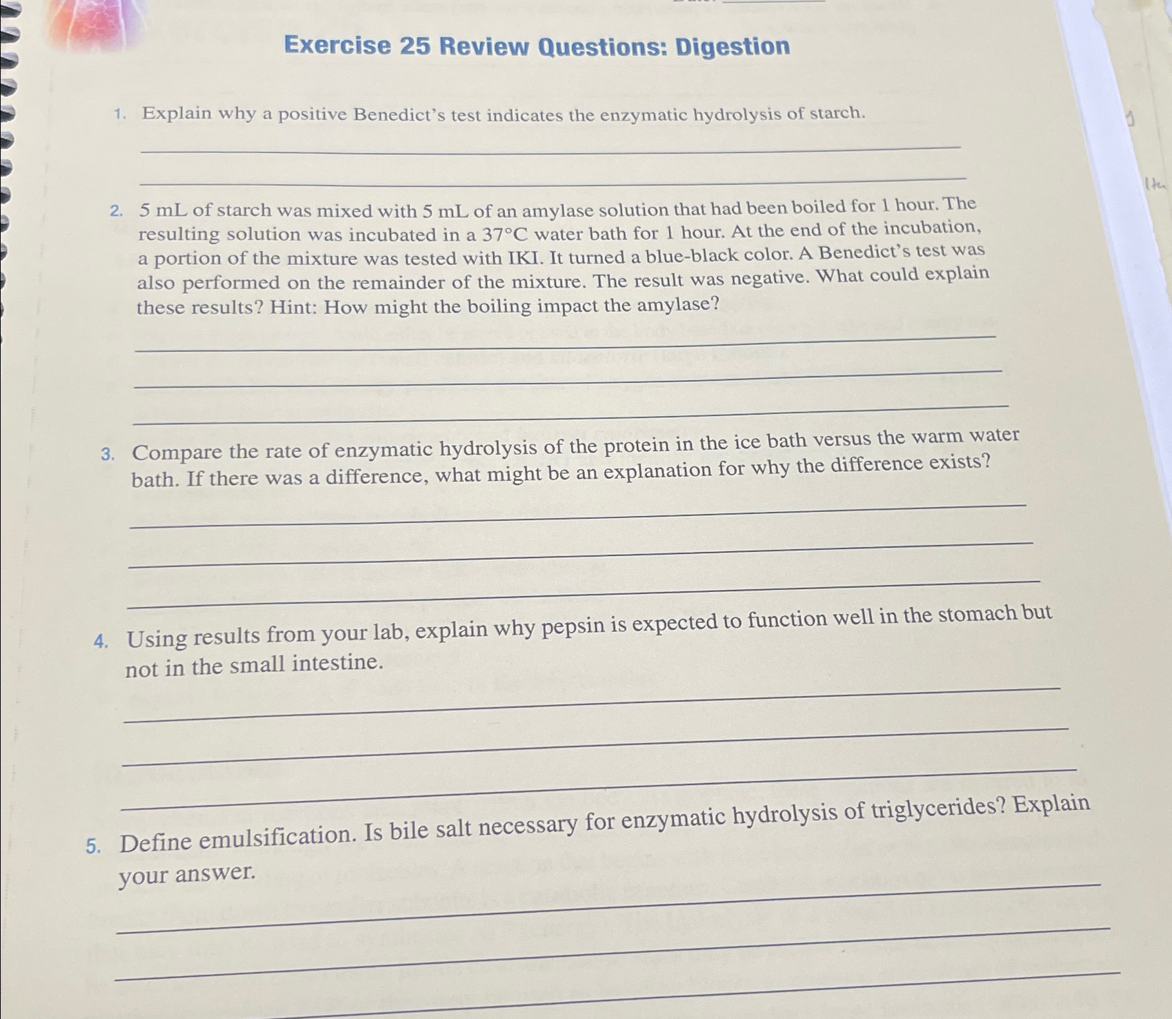 Solved Exercise 25 ﻿Review Questions: DigestionExplain why a | Chegg.com