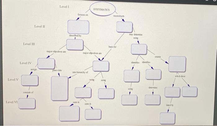 Solved Background This branch of taxonomy organizes the | Chegg.com
