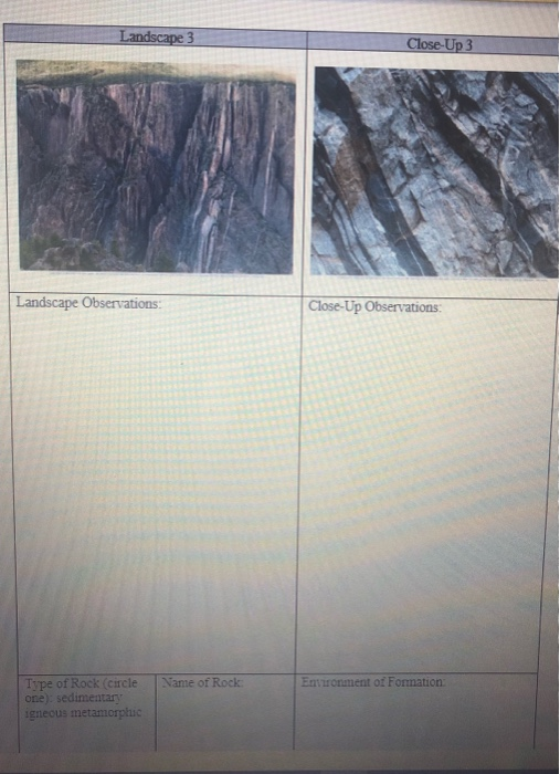 Solved Table 1. Observations and Identification of | Chegg.com