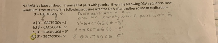 d.) transversion base substitution e.) there is not | Chegg.com