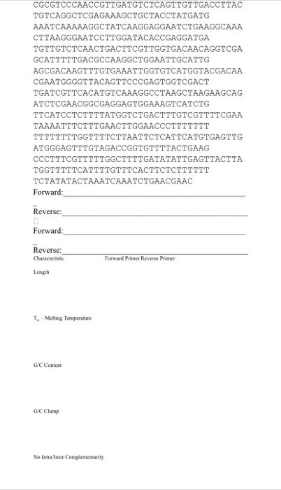 Solved PCR Practice: Create forward and reverse primers that | Chegg.com
