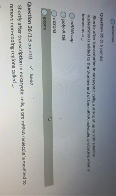 Solved telomereQuestion 35 (1.5 ﻿points)Shortly after | Chegg.com