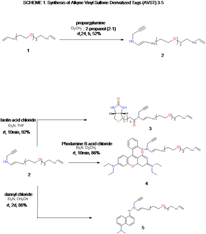 We report herein the synthesis of vinyl sulfone | Chegg.com