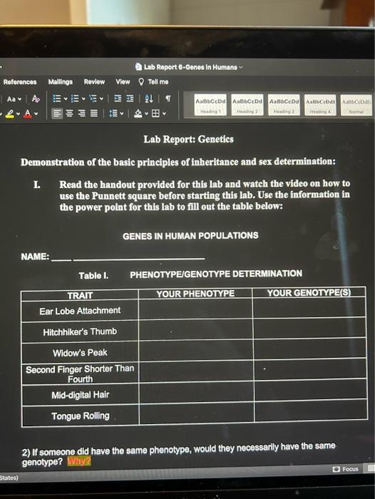 Lab Report: Genetics Demonstration of the basic | Chegg.com