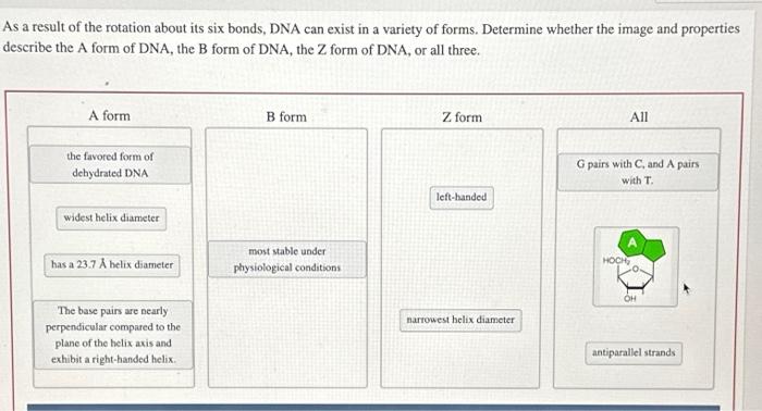 Solved As a result of the rotation about its six bonds, DNA | Chegg.com
