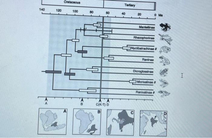 Solved Q10: Redraw a simplified version of this tree, with | Chegg.com