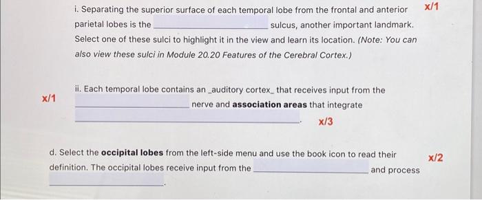 Solved i. Separating the superior surface of each temporal | Chegg.com