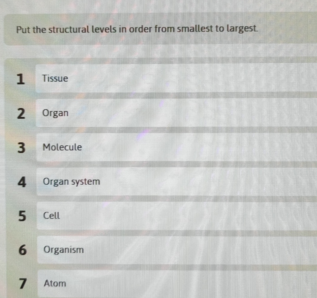 Solved Put the structural levels in order from smallest to | Chegg.com