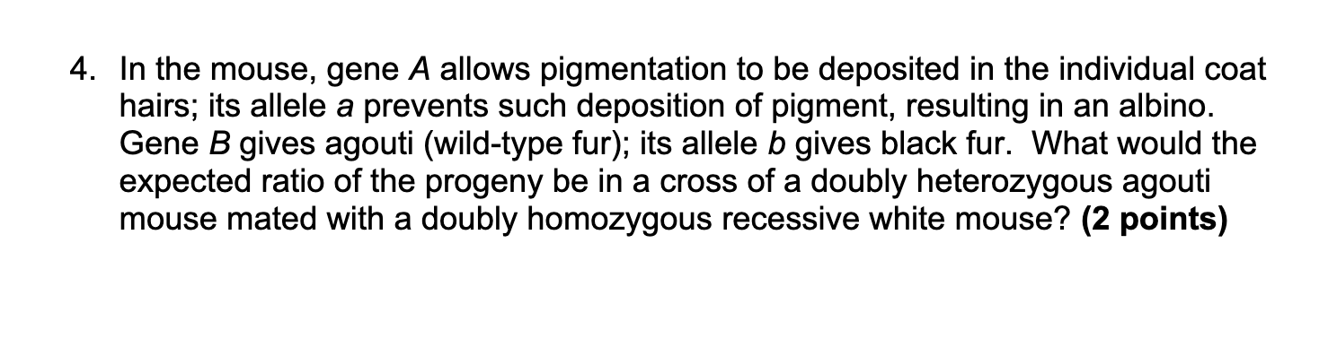 Solved In the mouse, gene A allows pigmentation to be | Chegg.com