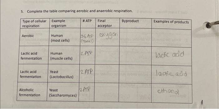Solved 5. Complete the table comparing aerobic and anaerobic | Chegg.com