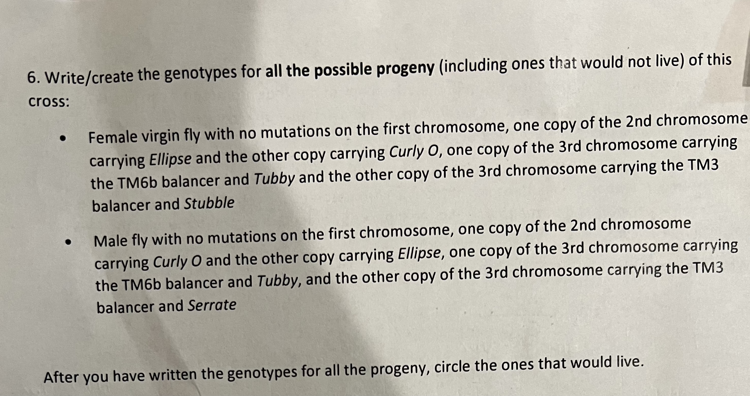 Solved Write/create the genotypes for all the possible | Chegg.com