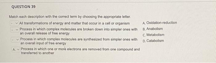 Solved Match each description with the correct term by | Chegg.com