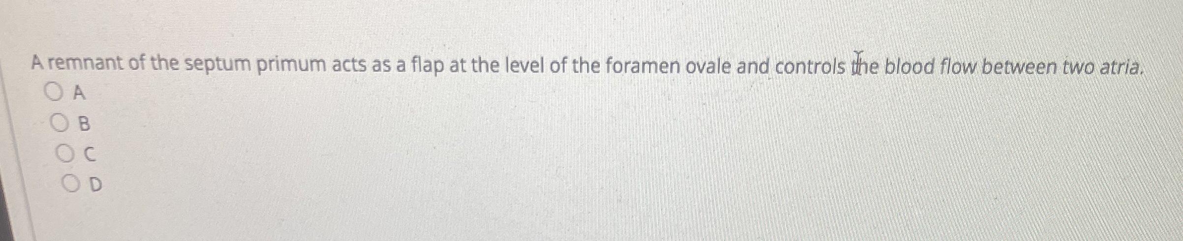 Solved A remnant of the septum primum acts as a flap at the | Chegg.com