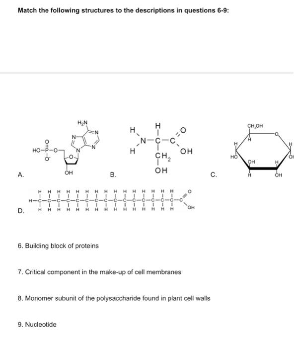 Solved Match the following structures to the descriptions in | Chegg.com