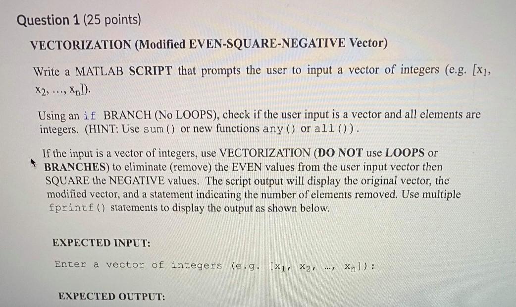 Solved Question 1 (25 points) VECTORIZATION (Modified | Chegg.com