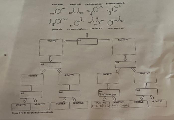 SOLUTION OF YOUR COMPOUND FOR THIS TEST) and start to | Chegg.com