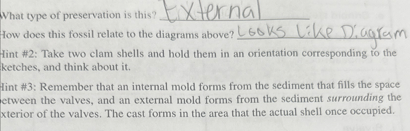 Solved What type of preservation is this? q, ﻿How does this | Chegg.com