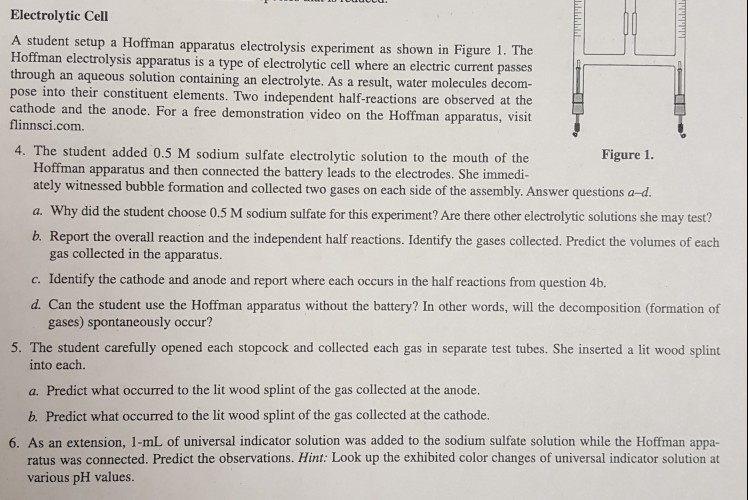 Solved Electrolytic CellA student setup a Hoffman apparatus | Chegg.com