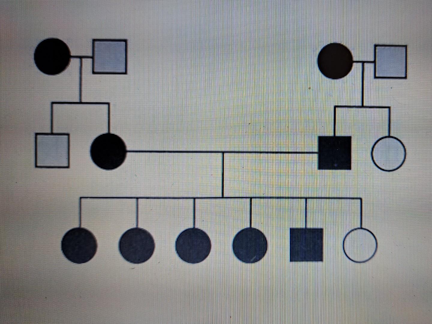 Solved identify the mode of inheritance. | Chegg.com