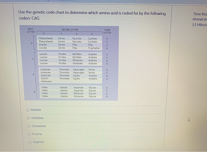 Solved Use the genetic code chart to determine which amino | Chegg.com