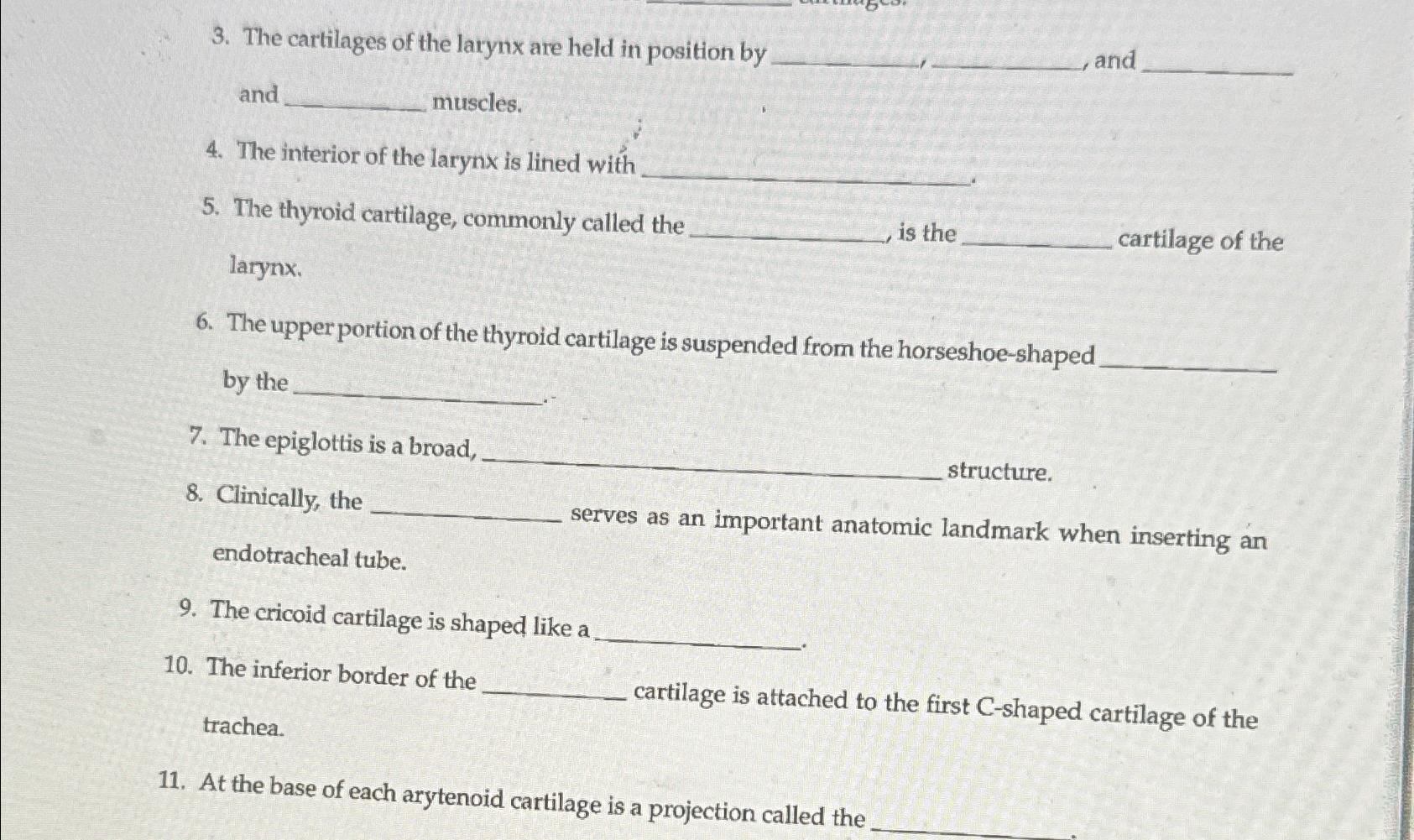 Solved The cartilages of the laryn x ﻿are held in position | Chegg.com