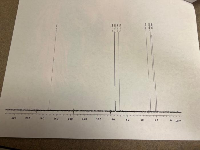 Solved based off the Ester IR, carbon and proton NMR can | Chegg.com