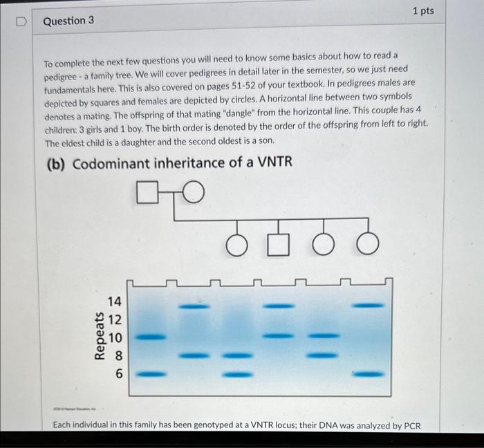Solved How do STRs differ from VNTRs? There are no | Chegg.com