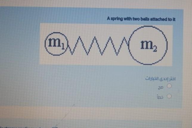 Solved A spring with two balls attached to it m wn m, احقر | Chegg.com