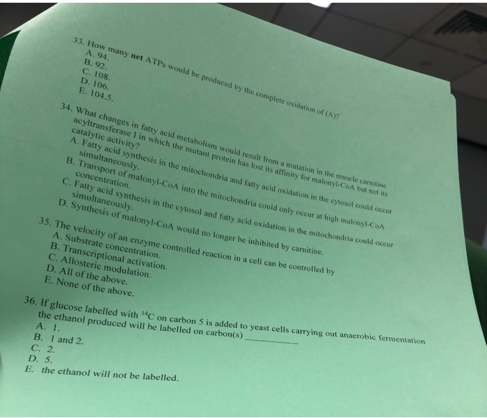 33. How many net ATPs would be produced by the | Chegg.com