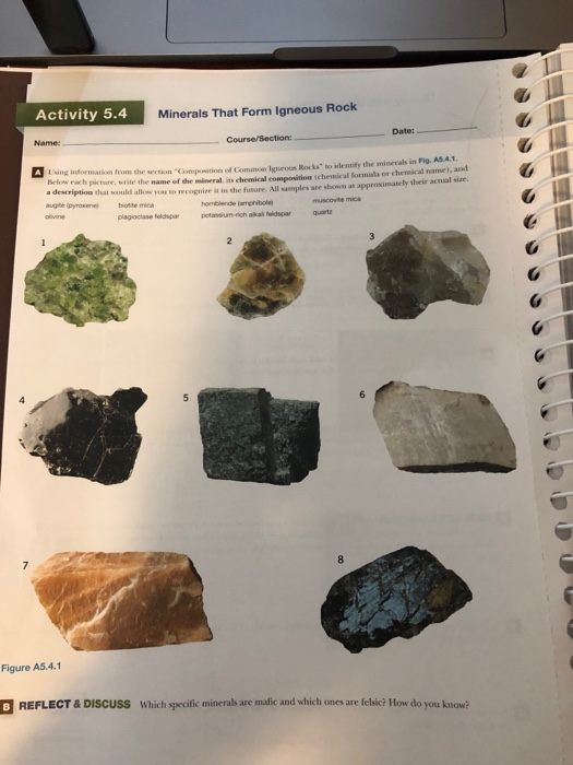 Solved Estimate the Percentage of Mafic Minerals Activity | Chegg.com