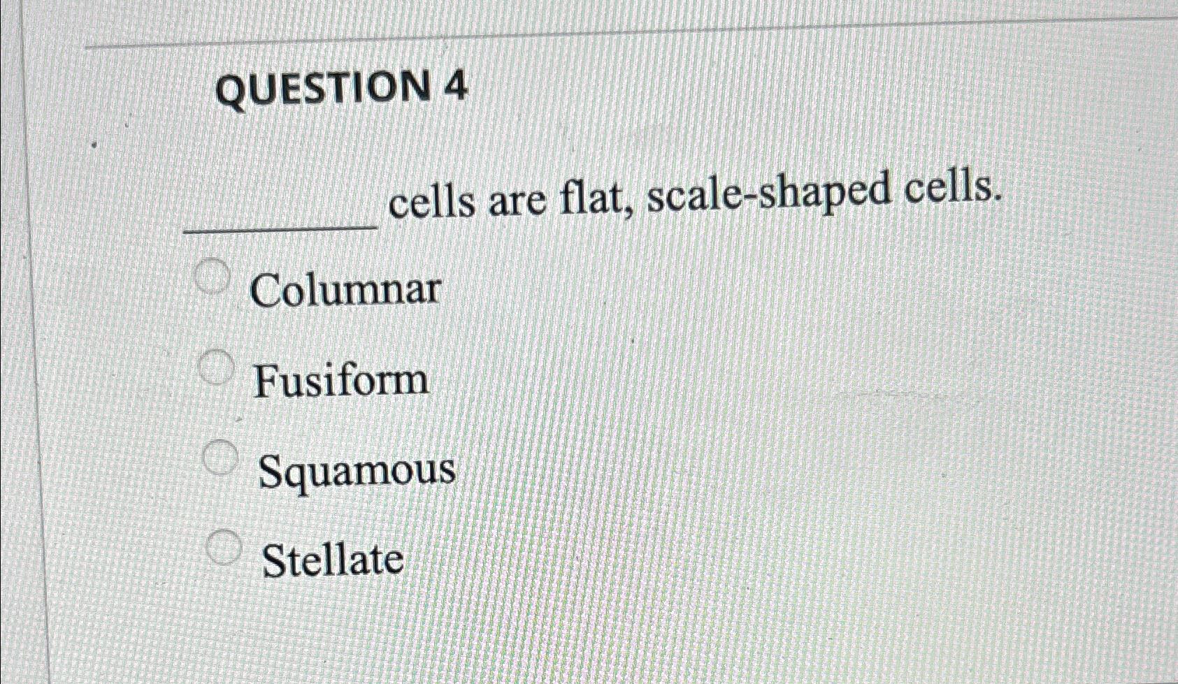 Solved QUESTION 4 ﻿cells are flat, scale-shaped | Chegg.com
