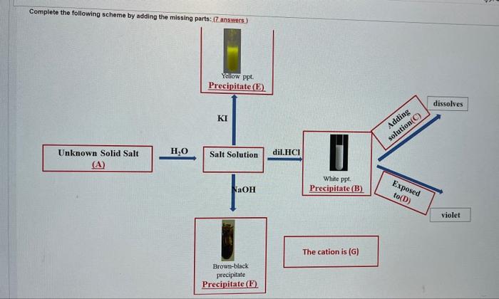 Solved Complete the following scheme by adding the missina | Chegg.com