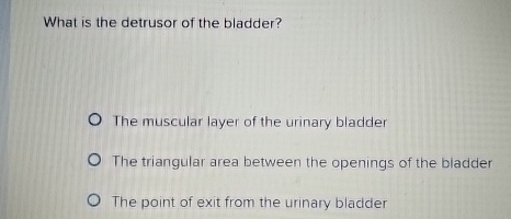Solved What is the detrusor of the bladder?The muscular | Chegg.com
