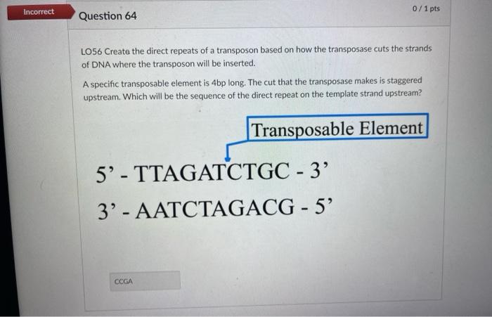 LO56 Create the direct repeats of a transposon based | Chegg.com