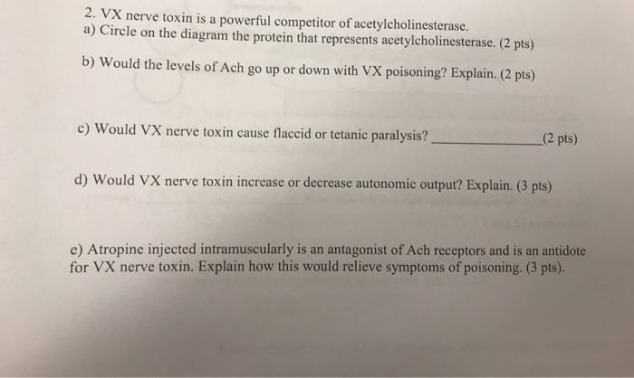 Solved 2. VX nerve toxin is a powerful competitor of | Chegg.com