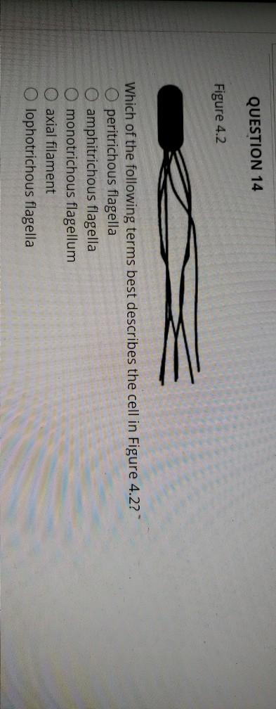 Solved QUESTION 14 Figure 4.2 Which of the following terms | Chegg.com