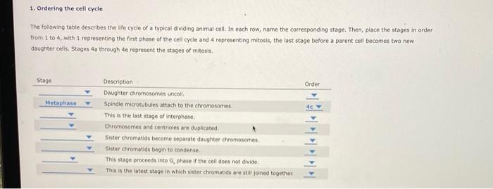 Solved The following table describes the life cyde of a | Chegg.com