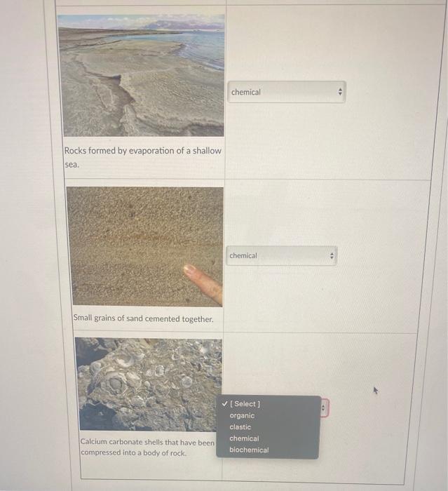 Solved Sort the sedimentary rocks into the correct category. | Chegg.com