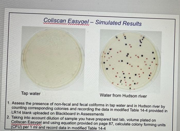 Solved Bio.420.Lab - Lab Report 14-2021 - Answers . III. | Chegg.com